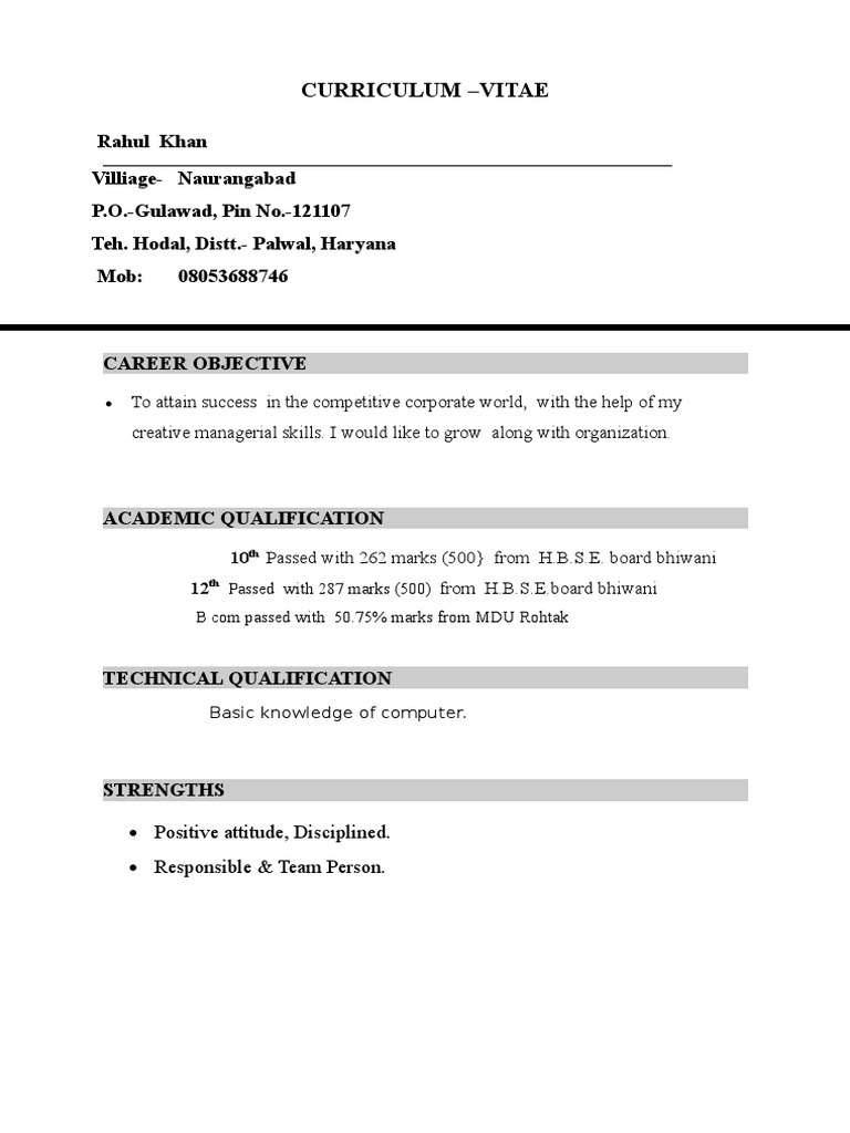 Rahul Khan Curriculum Vitae | PDF