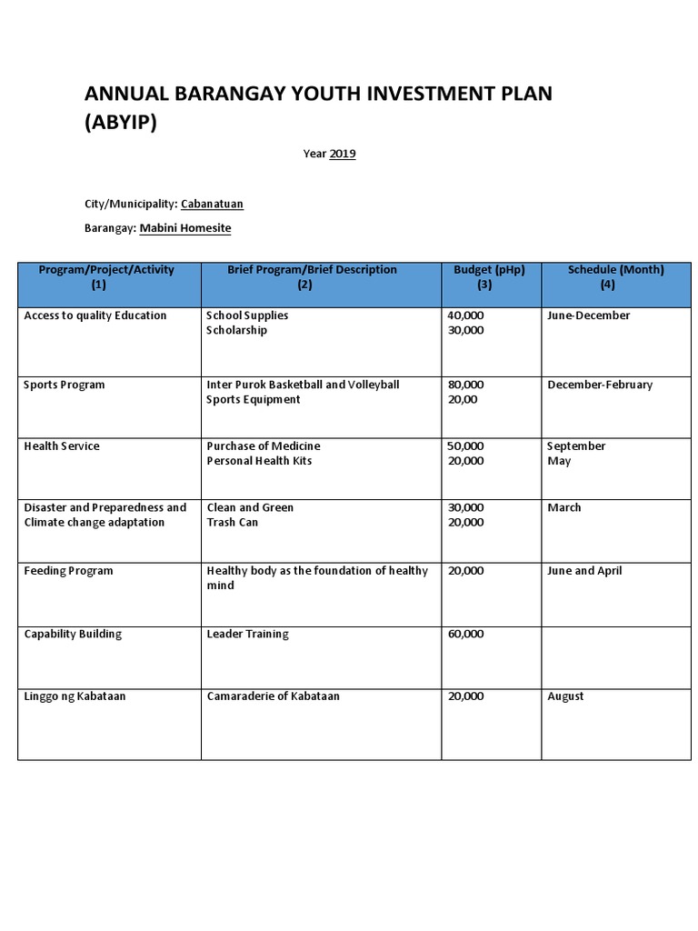 Annual Barangay Youth Investment Plan | PDF