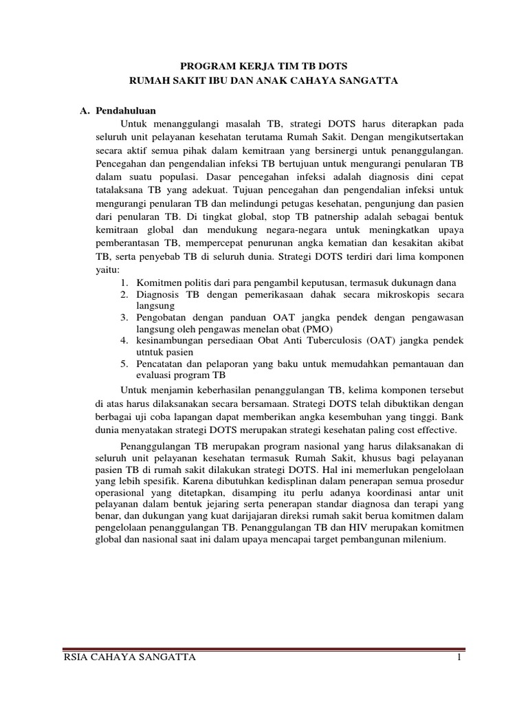 Program Kerja Tim TB Dots | PDF