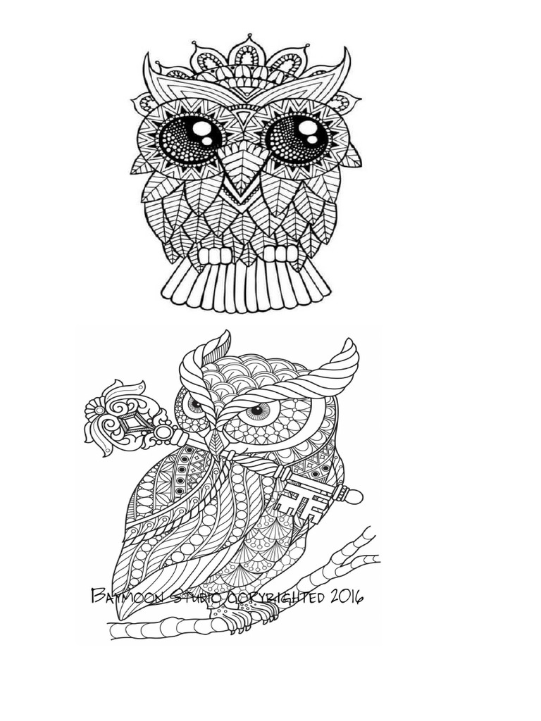 Mandalas Buho | PDF