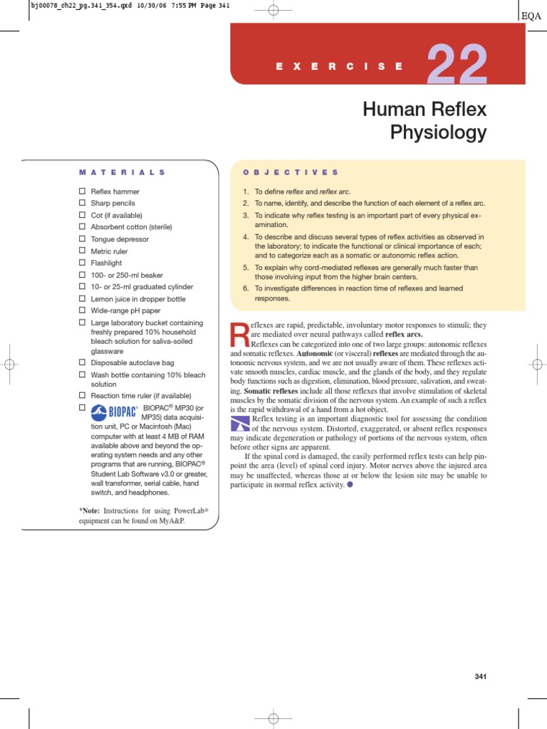 Human Reflex Physiology | PDF | Motor Neuron | Nervous System