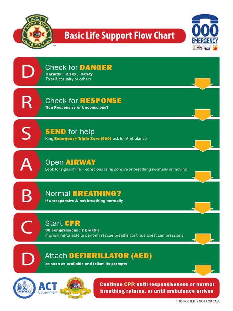 Basic Life Support Flow Chart | PDF | Wellness