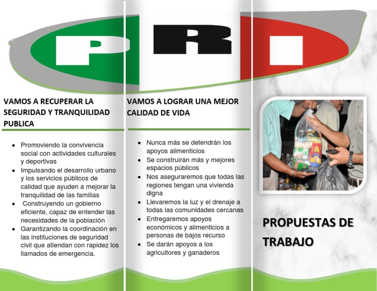 Triptico Pri | PDF