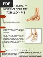 Pruebas Funcionales de Rodilla | PDF | Rodilla | Sistema musculoesquelético