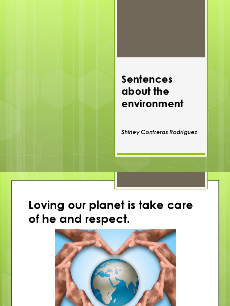 Sentences About The Environment: Shirley Contreras Rodriguez | PDF