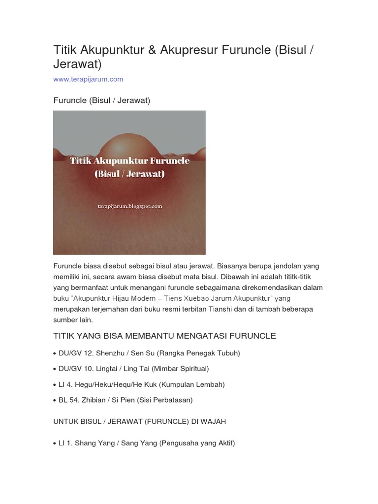 Jerawat Dan Bisul | PDF