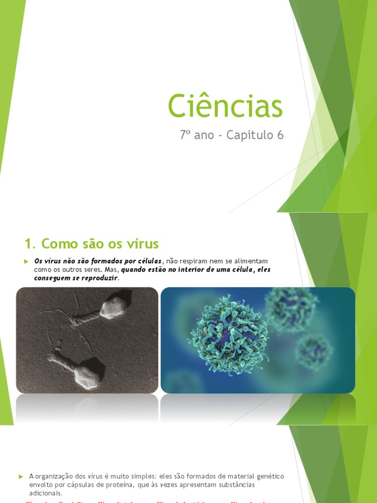 Ciências 7 Ano | PDF | Vírus | Poliomielite