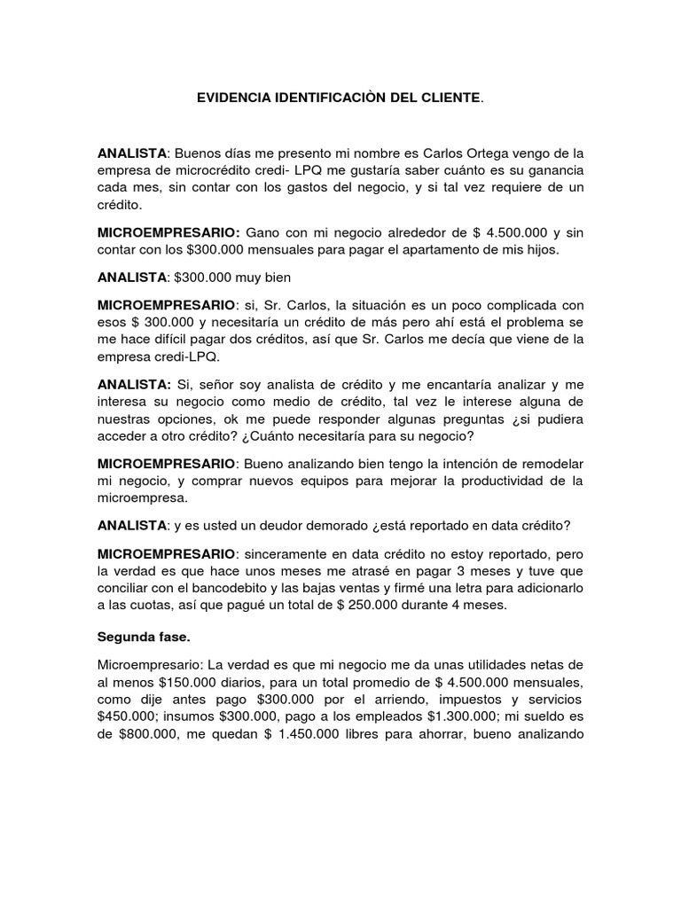 Actividad 2 Identificacion Del Cliente | PDF | Economias | Business