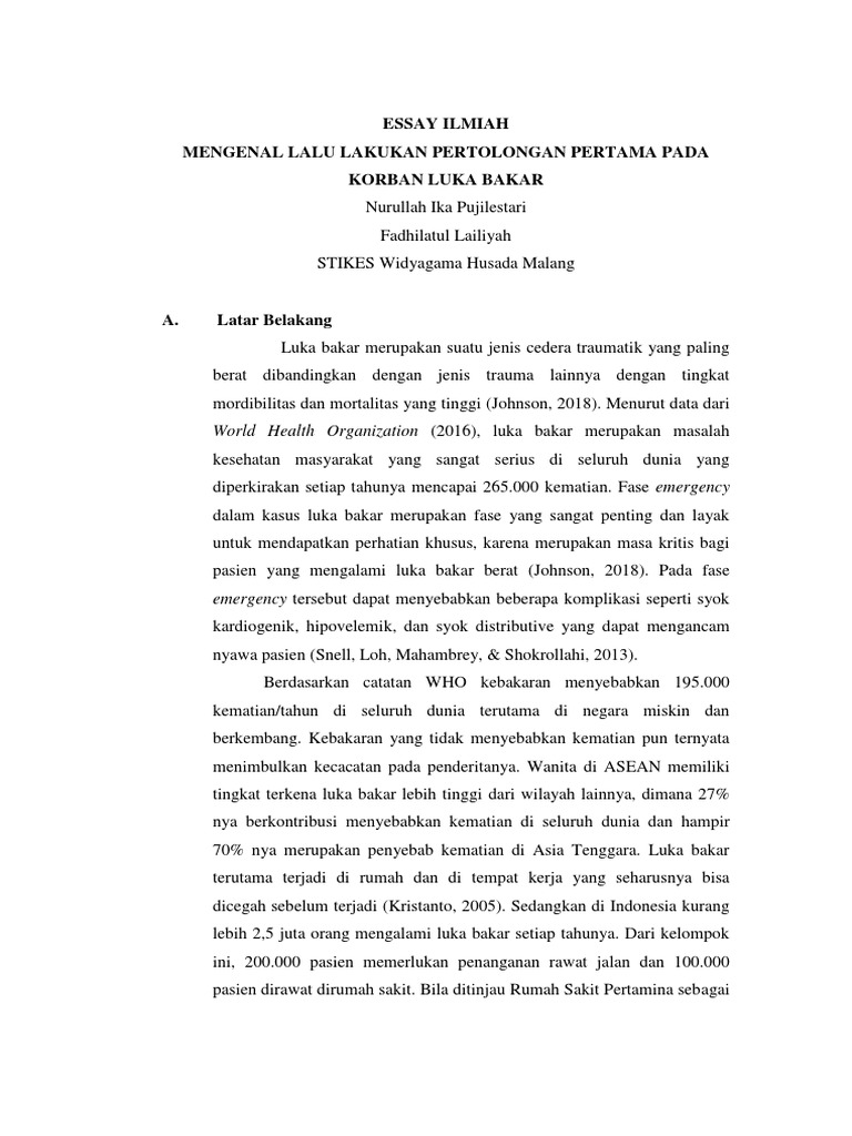 Essay Ilmiah | PDF