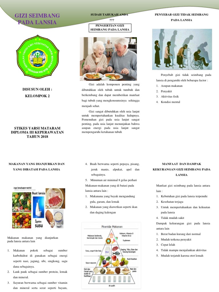 Leaflet Gizi Pada Lansia Fix | PDF