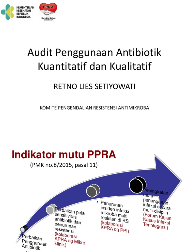 Indikator Mutu PPRA | PDF