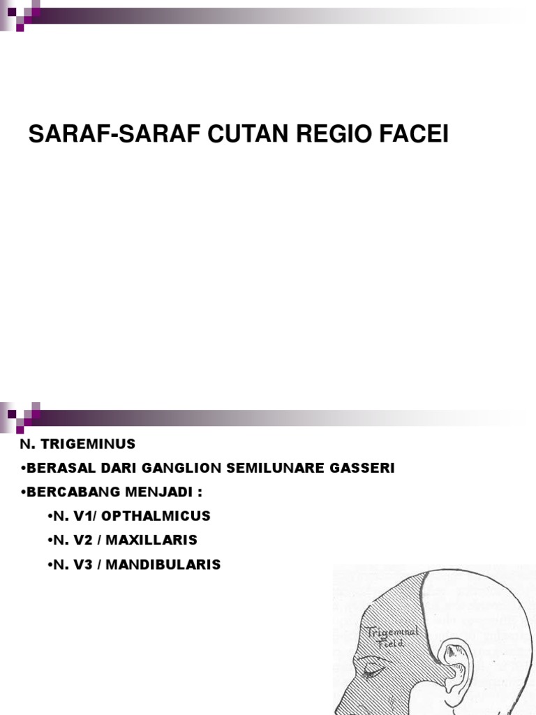 Saraf Cutan Regio Facei | PDF