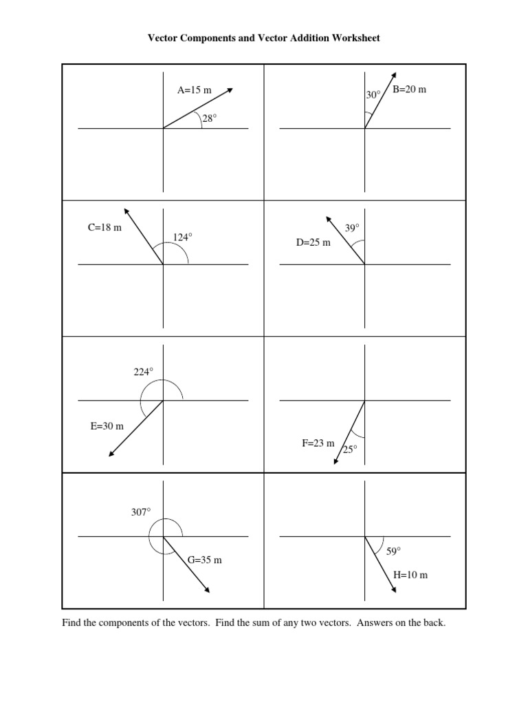 Vector Worksheet | PDF | Euclidean Vector | Theoretical Physics
