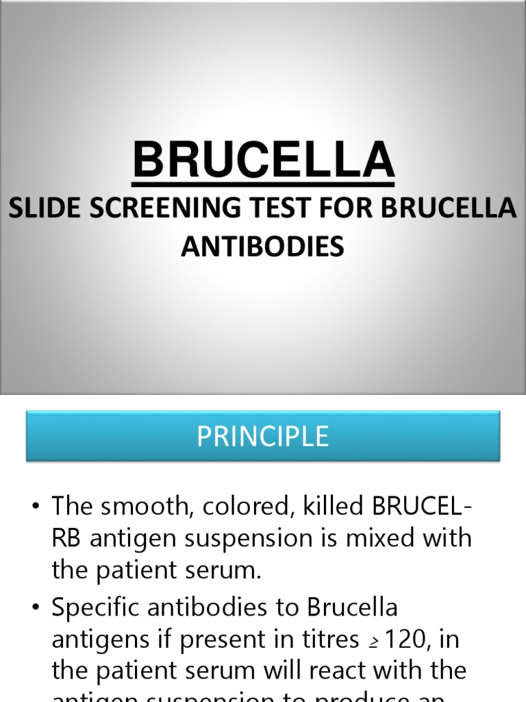 Brucella: Slide Screening Test For Brucella Antibodies | PDF