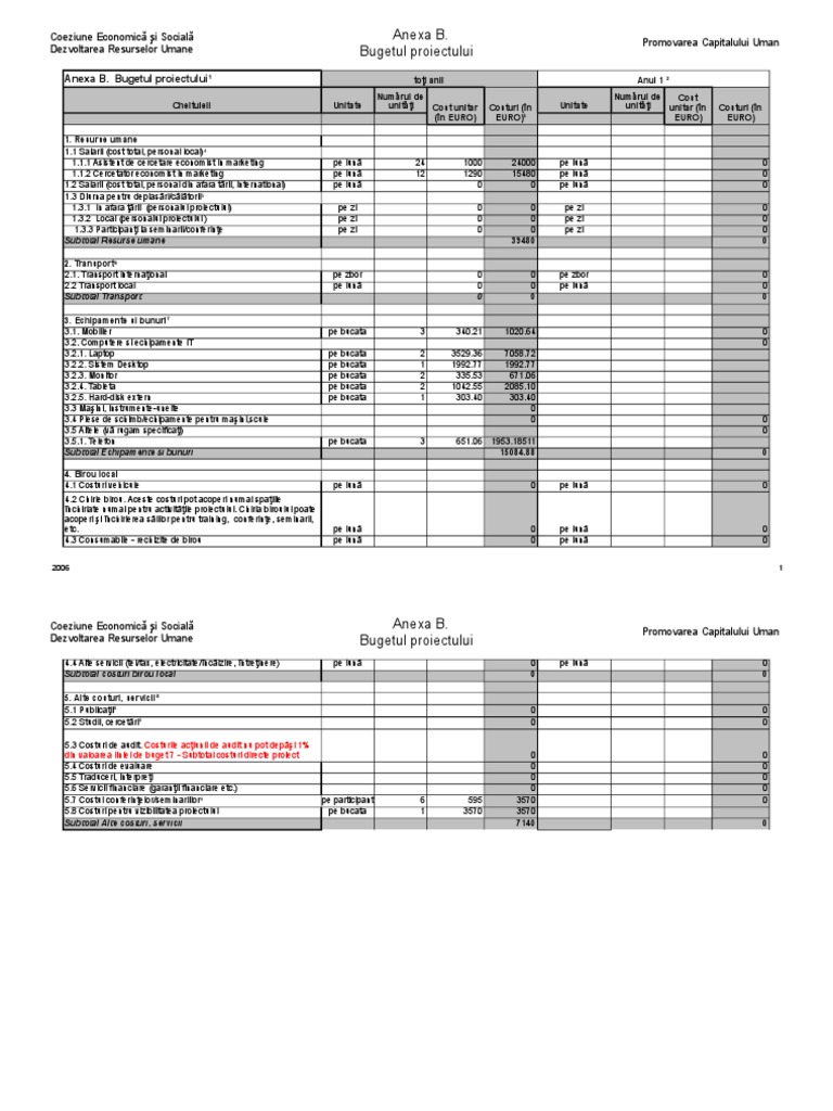 6 Format Model Structurare Buget | PDF