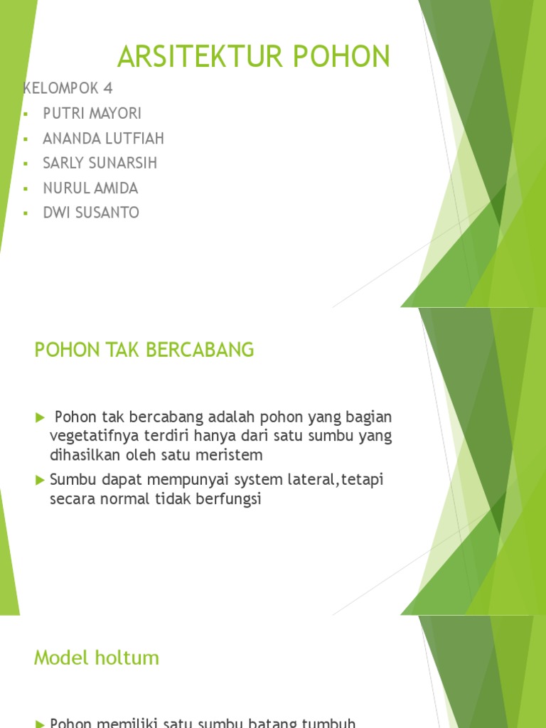 Arsitektur Pohon: Model dan Contoh | PDF | Sains & Matematika