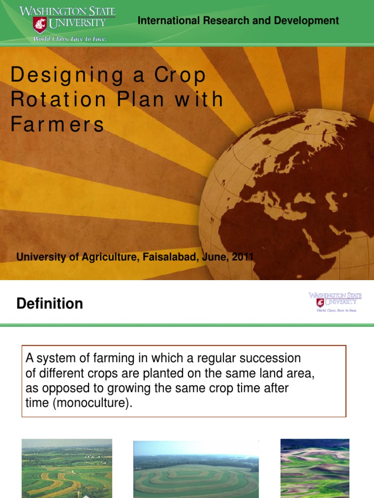 Designing A Crop Rotation Plan Faisalabad Pakistan June 2011 PDF | PDF ...