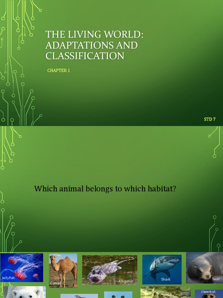 Adaptations for Survival: Exploring How Plants and Animals Are Suited ...