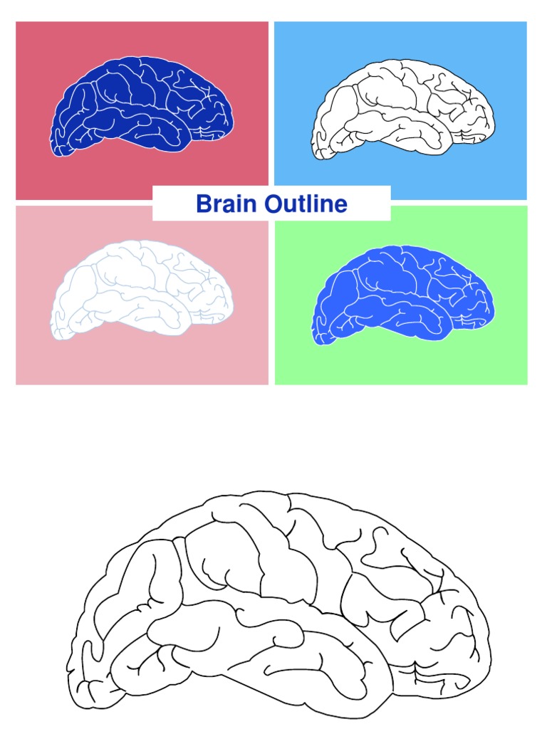 Brain Outline | PDF