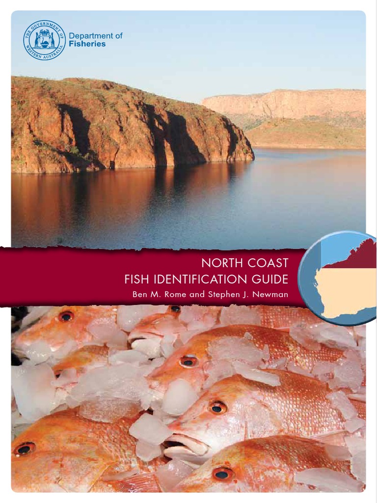 Fish of Northern Australia | PDF | Coral Reef | Cod