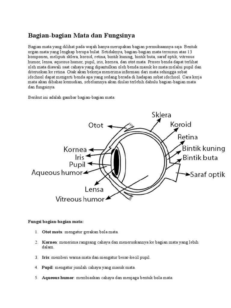 Bagian dan Fungsi Mata Manusia | PDF