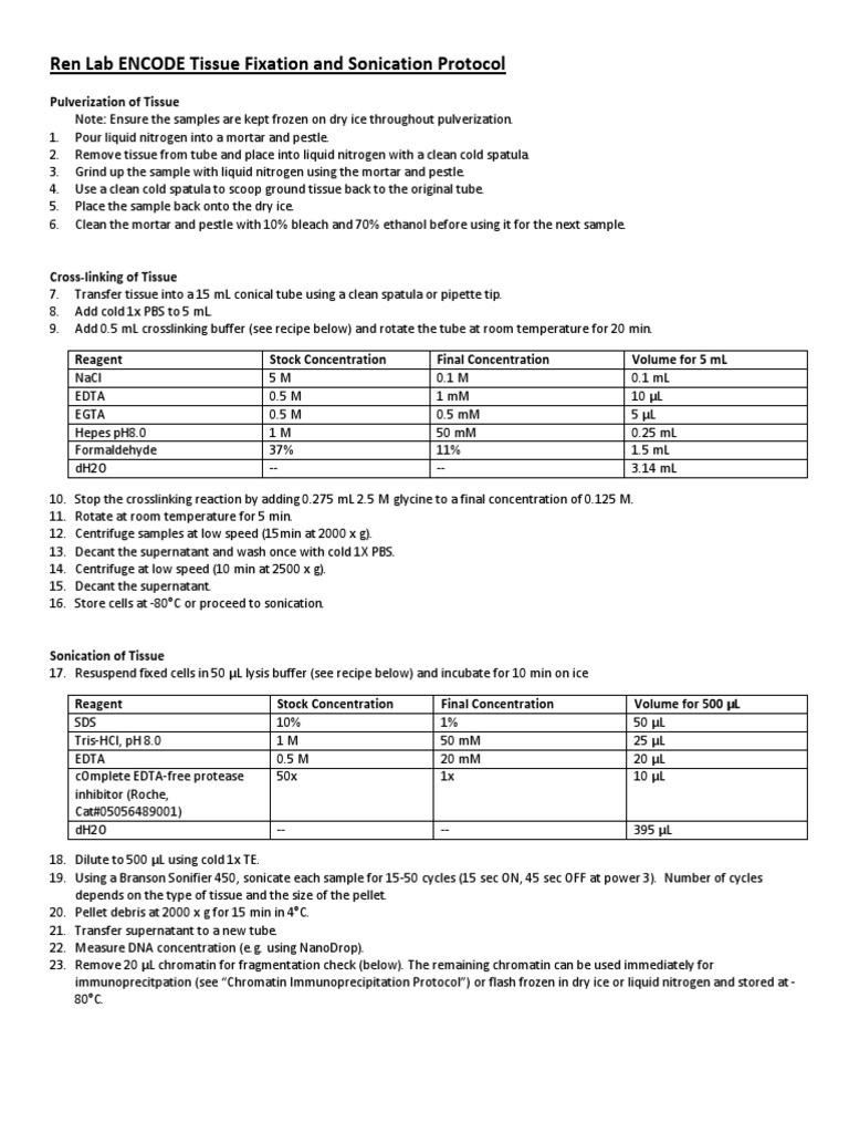 Ren Lab ENCODE Tissue Fixation and Sonication Protocol | PDF | Fixation ...