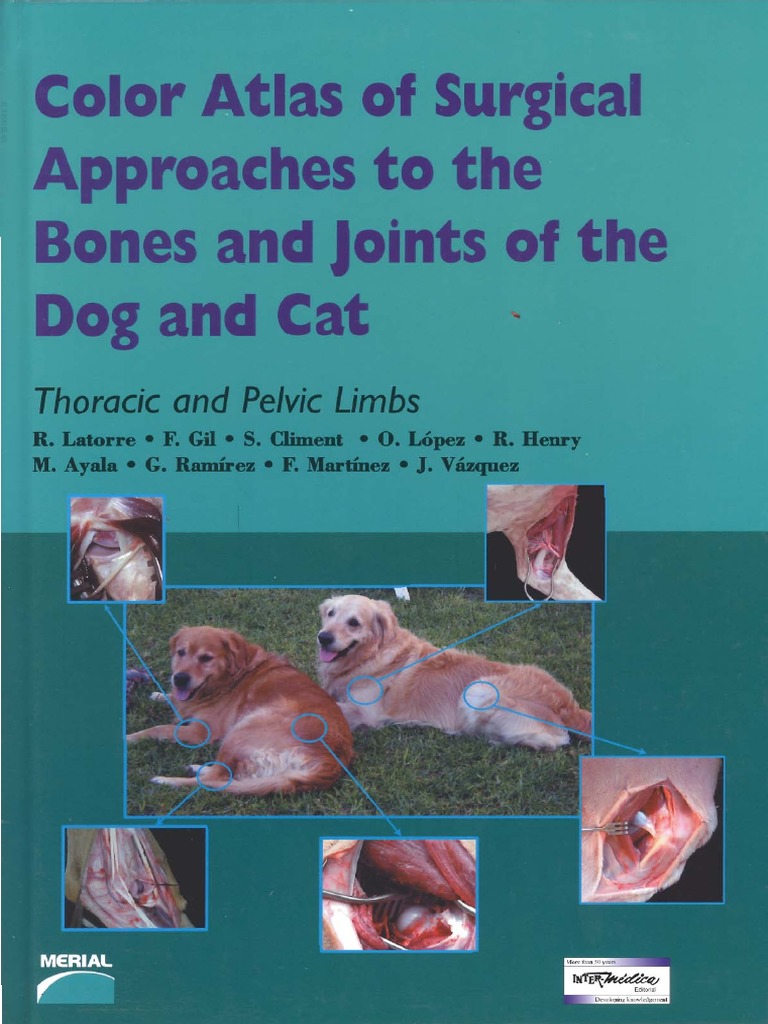 Color Atlas of Surgical Approaches To The Bones and Joints of The Dog ...