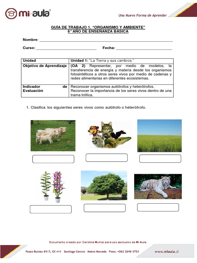 Guia 1 Organismos y Ambiente | PDF | Ciencia y matemáticas | Informática