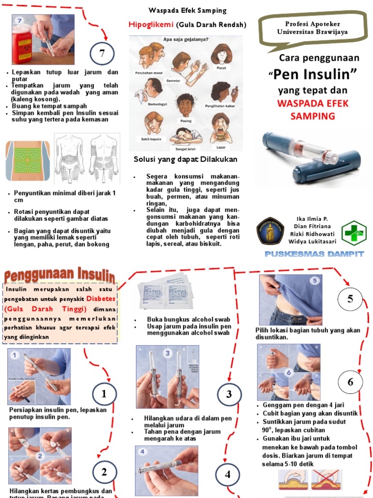 Leaflet Penggunaan Insulin | PDF