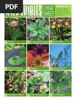 Edible Wild Plants Field Guide | PDF | Berry | Vegetables