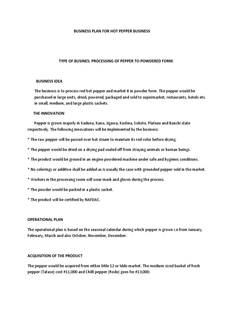 Business Plan For Hot Pepper Business | PDF | Depreciation | Market ...