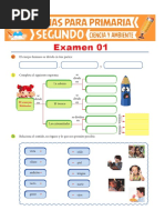 Evaluación de Ciencias (Cuerpo Humano, Esqueleto) | PDF