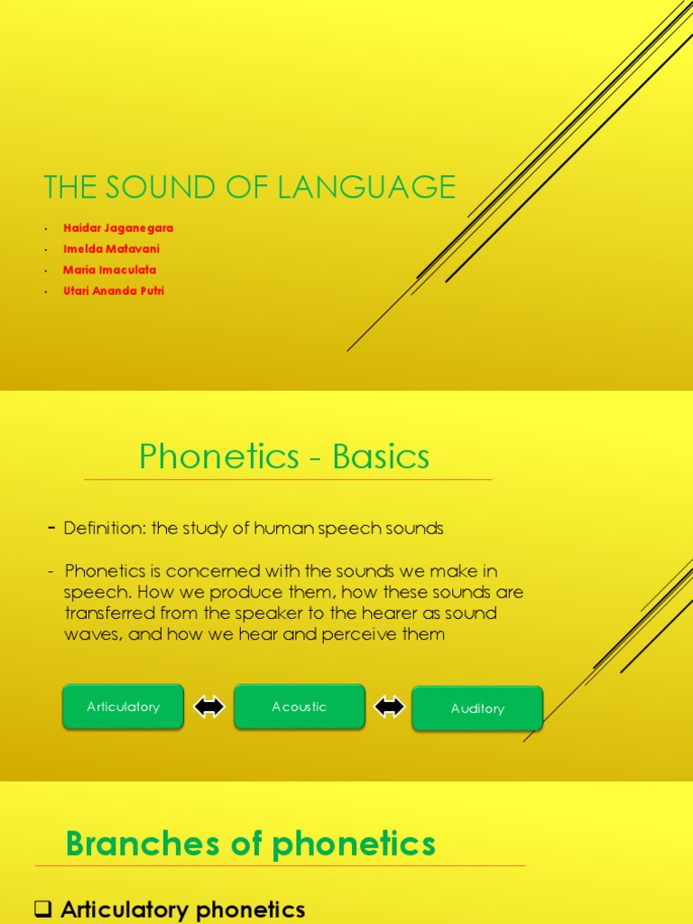 The Sound of Language - Phonetics | PDF | Phonetics | Human Voice