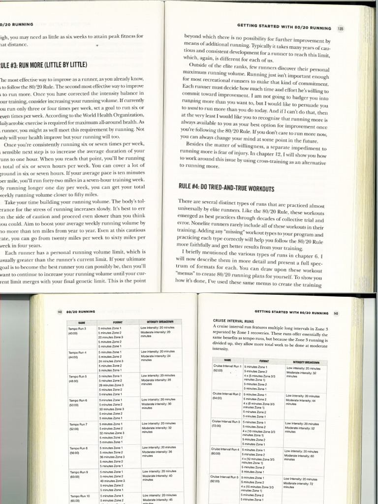 80/20 Running | PDF