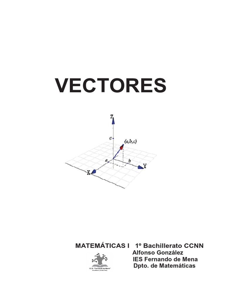 Teoria Vectors I Rectes | PDF | Vector Euclidiano | Álgebra lineal