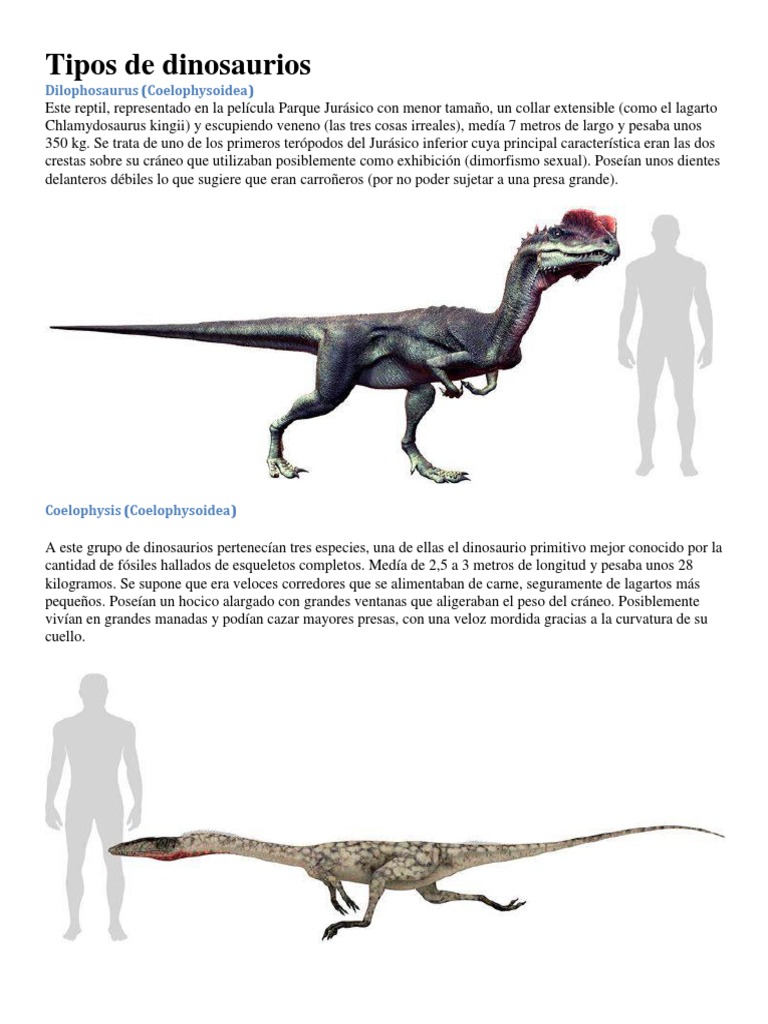 Tipos de Dinosaurios | PDF | Dinosaurios | Aves