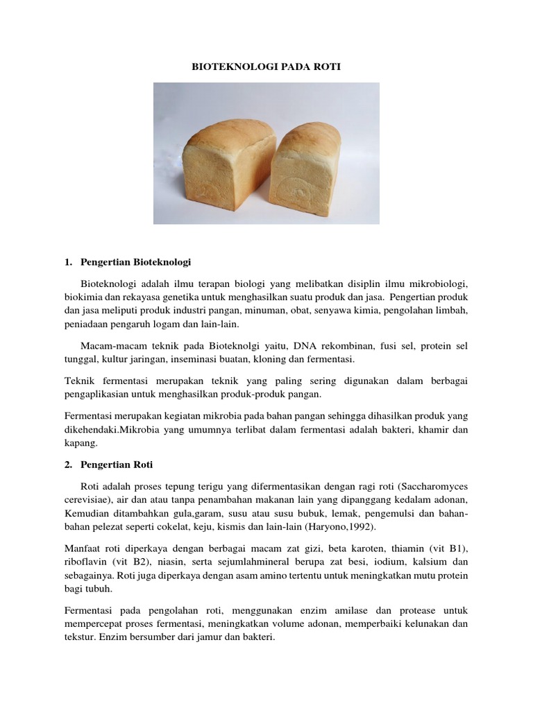Bioteknologi Fermentasi Roti | PDF