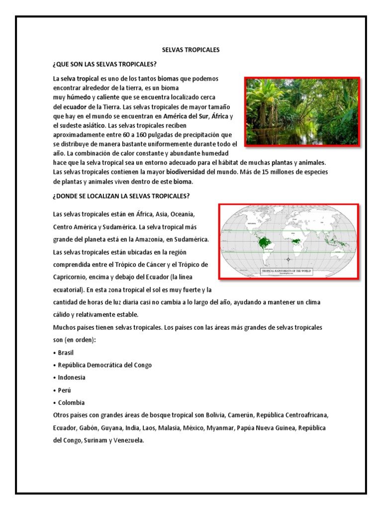 Biomas Del Mundo | PDF | Desierto | Selva