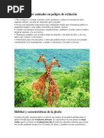Historia de Las Jirafas | PDF | Evolución