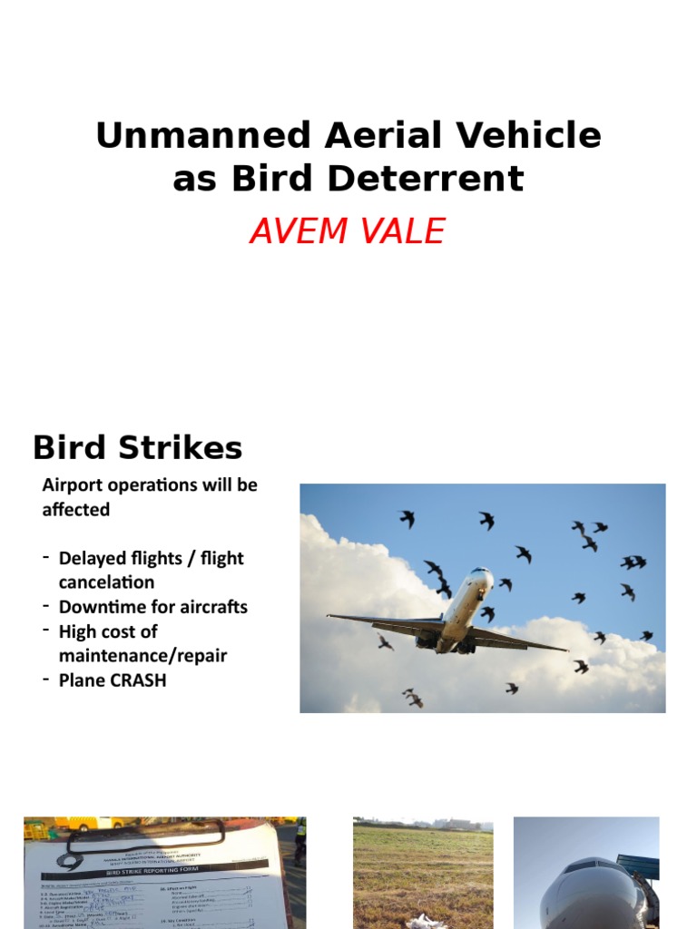 Unmanned Aerial Vehicle As Bird Deterrent: Avem Vale | PDF | Unmanned ...