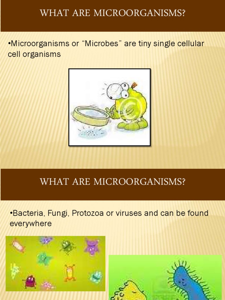 Effective Microorganisms (Em Technology and Bokashi) | PDF | Compost ...