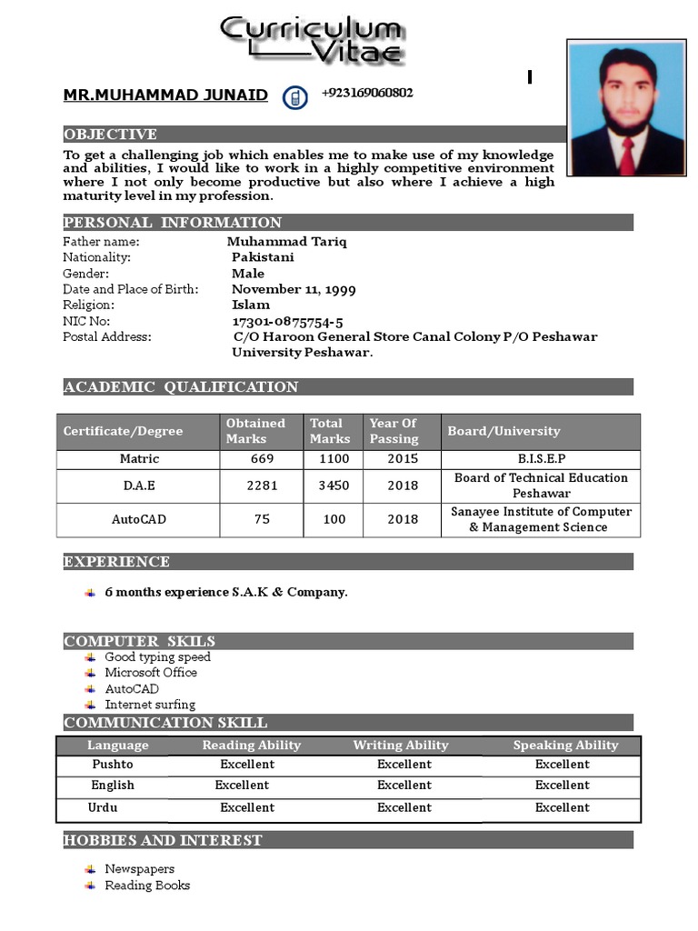 Muhammad Junaid CV 2 | PDF