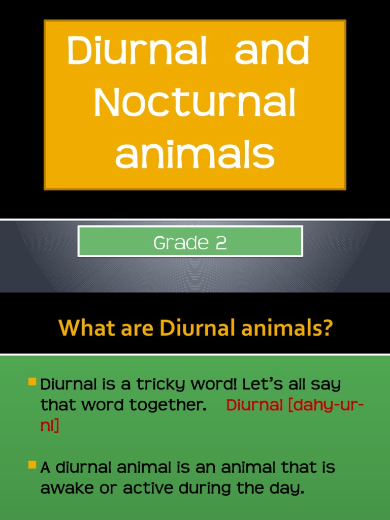 Diurnal and Nocturnal Animals: Grade 2 | PDF | Zoology | Organisms