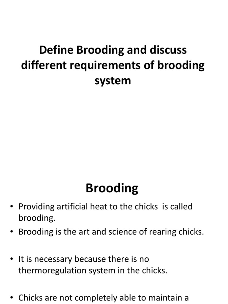 Define Brooding and Discuss Different Requirements of Brooding System ...