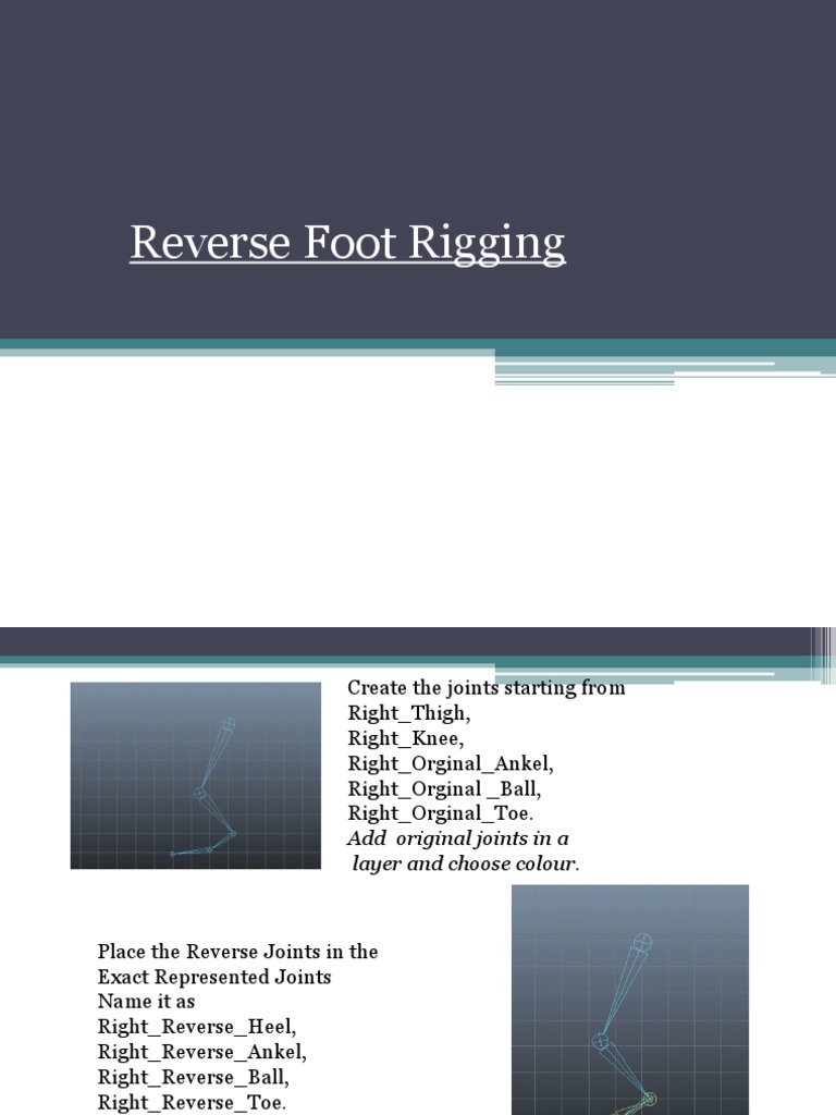 Reverse Foot Rigging Guide | PDF | Teaching Mathematics