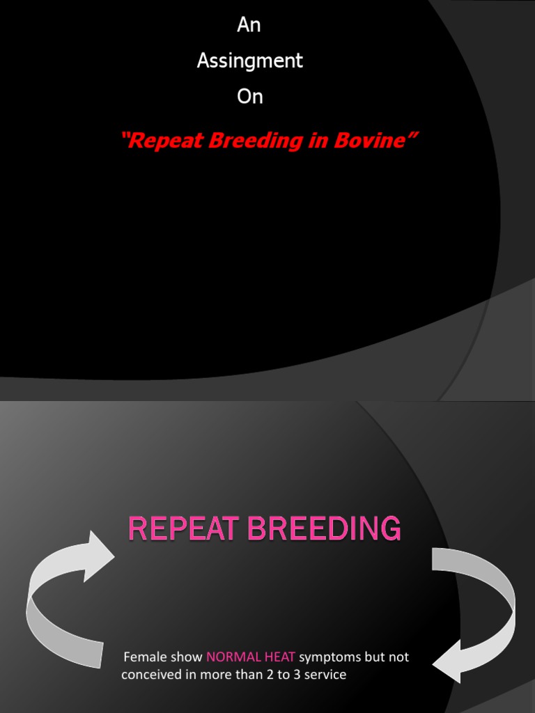 1 Repeat Breeding in Bovine | PDF | Fertilisation | Cattle