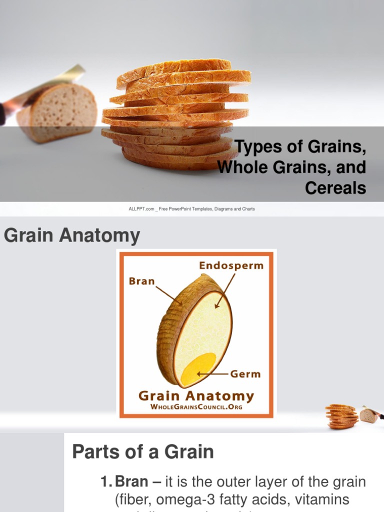 Anatomy and Types of Grains | PDF | Whole Grain | Cereals