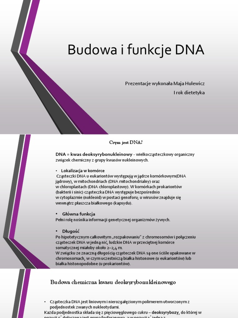 Budowa I Funkcje DNA | PDF