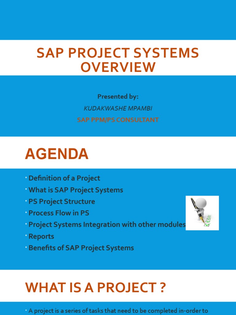 SAP Project Systems Overview Guide | PDF | Business | Computers