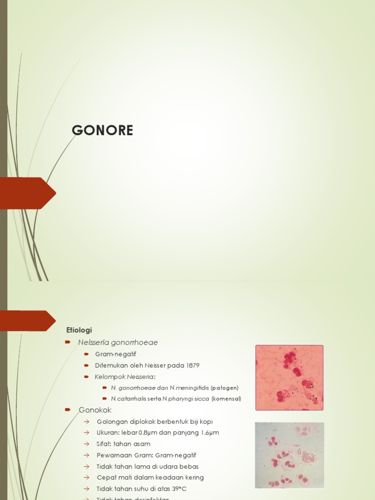 Gonore | PDF